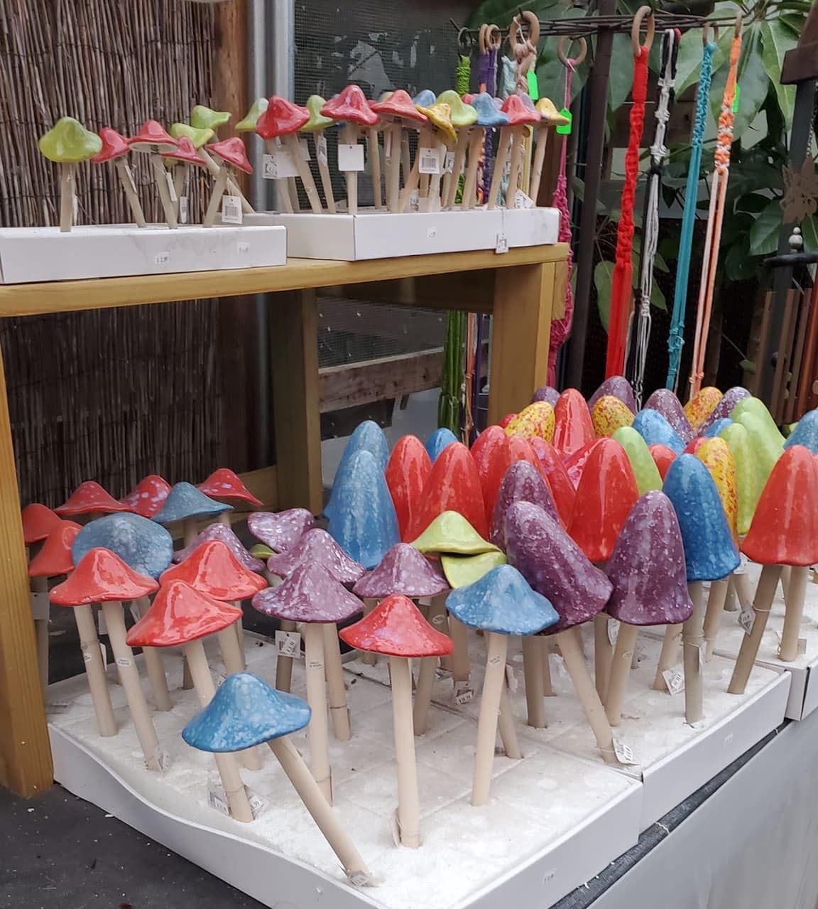 Little Country Store - Little Country Greenhouse