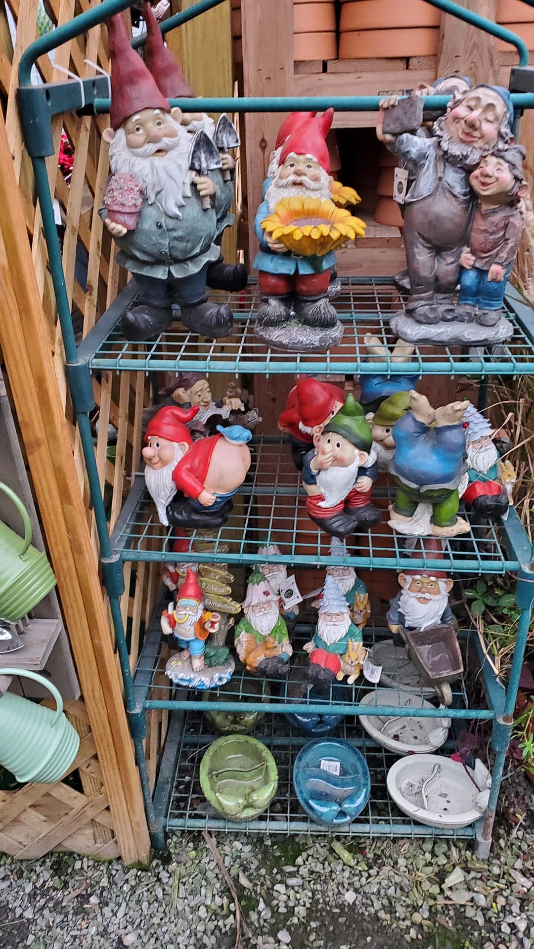 Little Country Store - Little Country Greenhouse