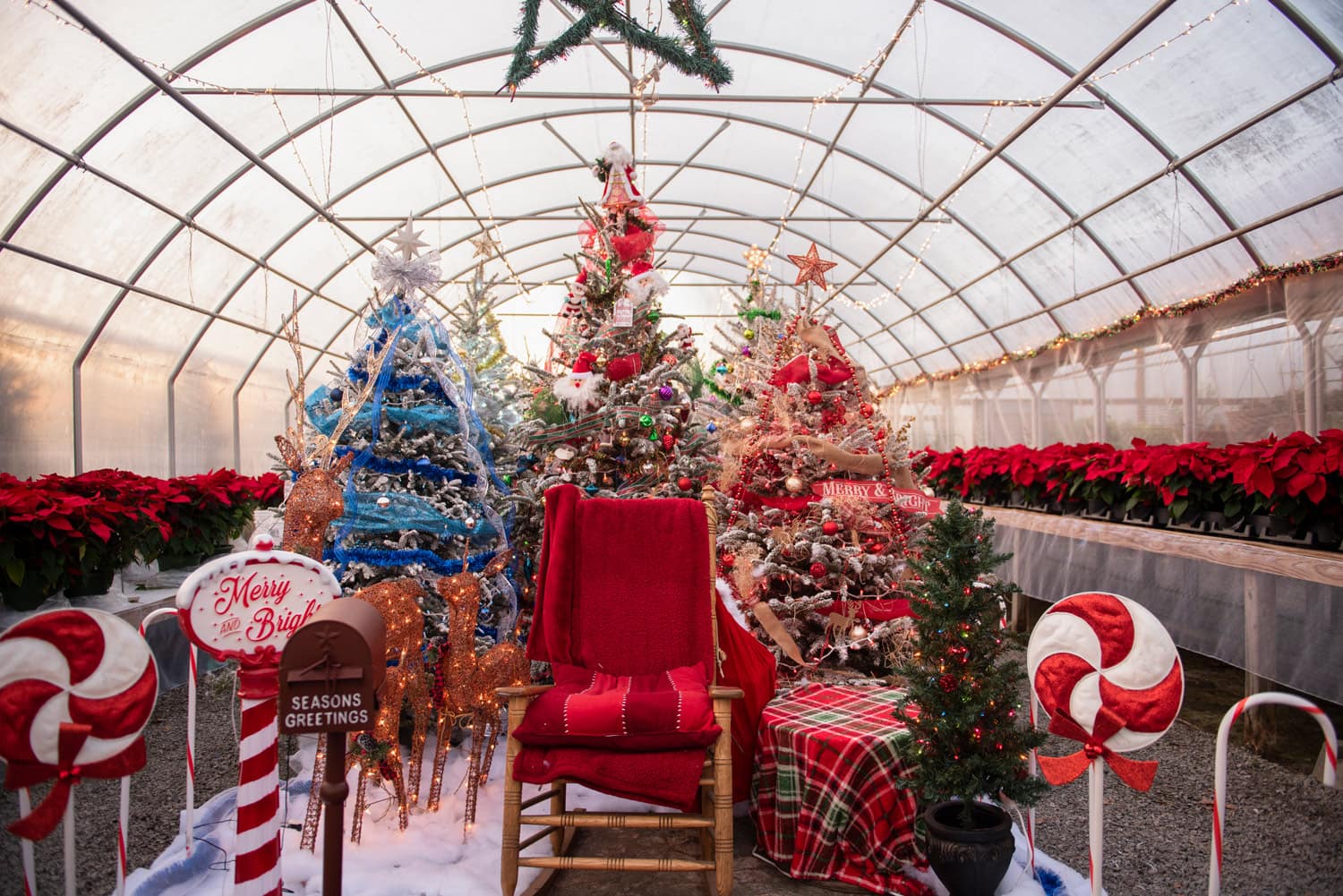 Little Country Greenhouse